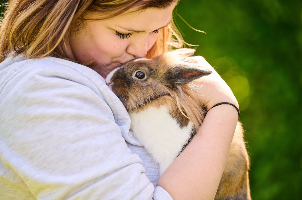 Caring for your rabbit - Beaphar